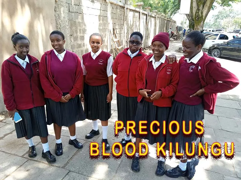 Precious Blood Kilungu KCSE Results 2025, KNEC History, and Contacts ...