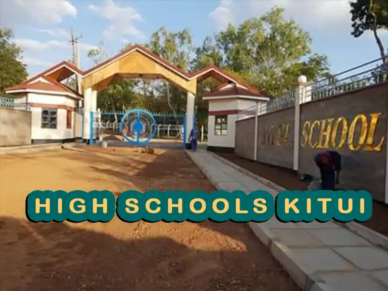 55 Best Secondary Schools in Kitui, List of Top Ranking KNEC Giants ...