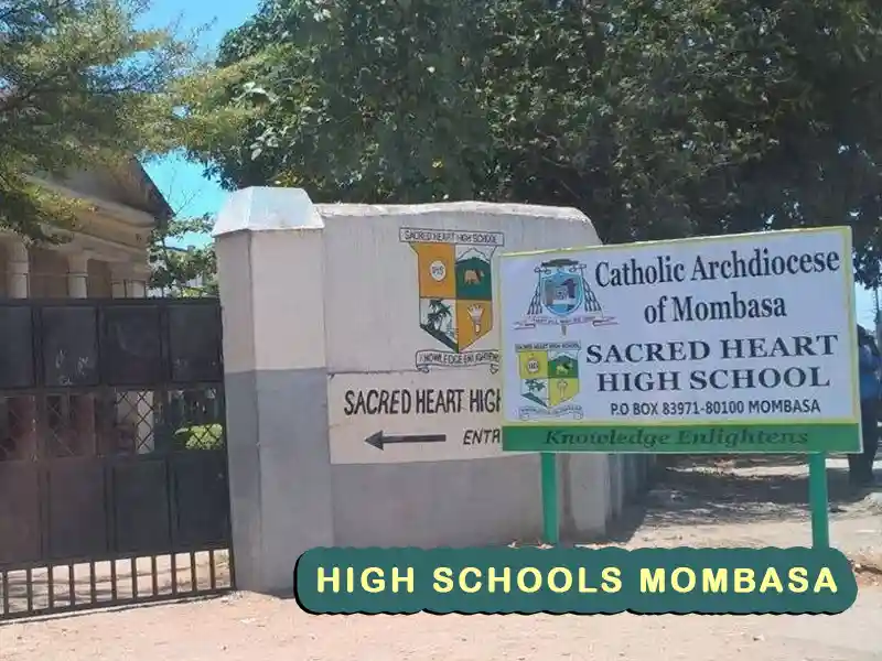 55 Best Secondary Schools in Mombasa, List of Top Ranking KNEC Giants ...